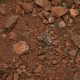 MOT Type 1 Granular Sub Base - Grundon Sand & Gravel